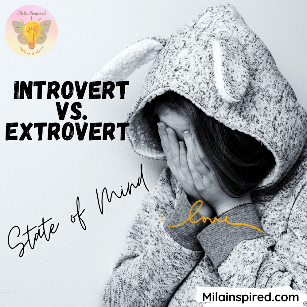 Introverts Blog