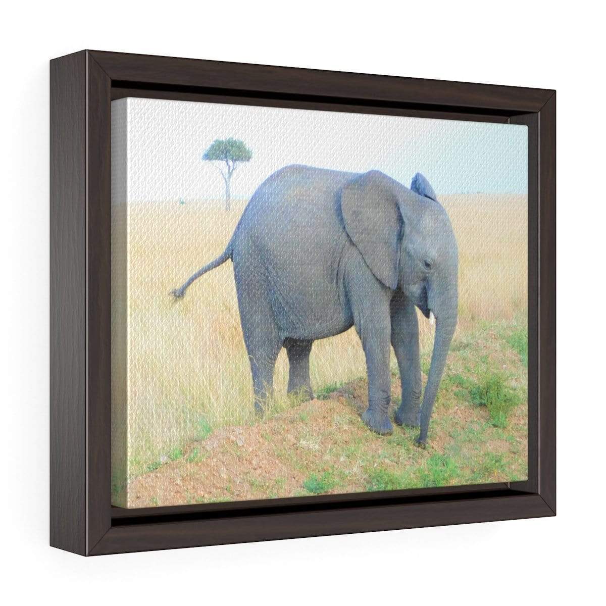 Elephant Prints